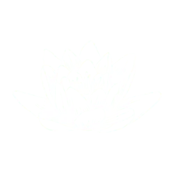 25 Flow Tracker - flow!summit